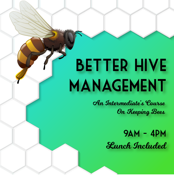 Intermediate – Bemis Honey Bee Farm