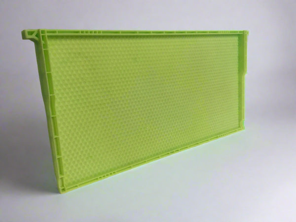 Deep 9 1/8" Single Coated Green Drone Frame – Bemis Honey Bee Farm