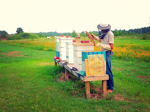 Arkansas Apiary Registration – Bemis Honey Bee Farm