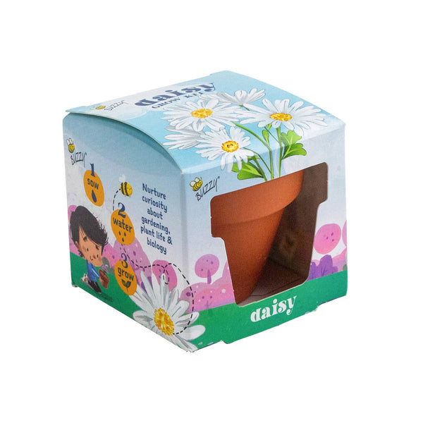 Kids Mini Grow Pot - Daisy - 100% Organic Grow Kit – Bemis Honey Bee Farm