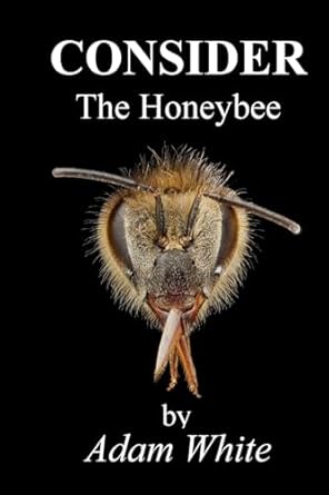 "Consider the Honeybee" – Bemis Honey Bee Farm