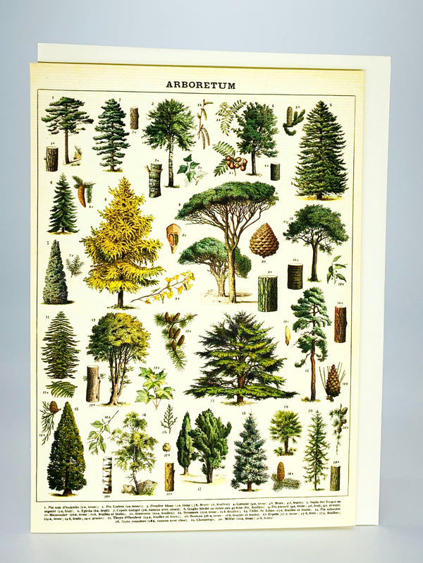 Arboretum Card – Bemis Honey Bee Farm