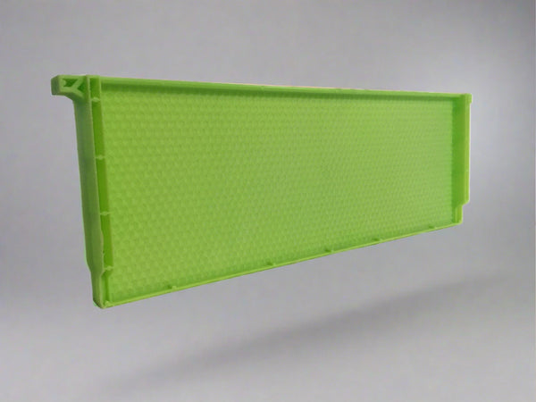 Medium 6 1/4" Single Coated Green Drone Frame – Bemis Honey Bee Farm